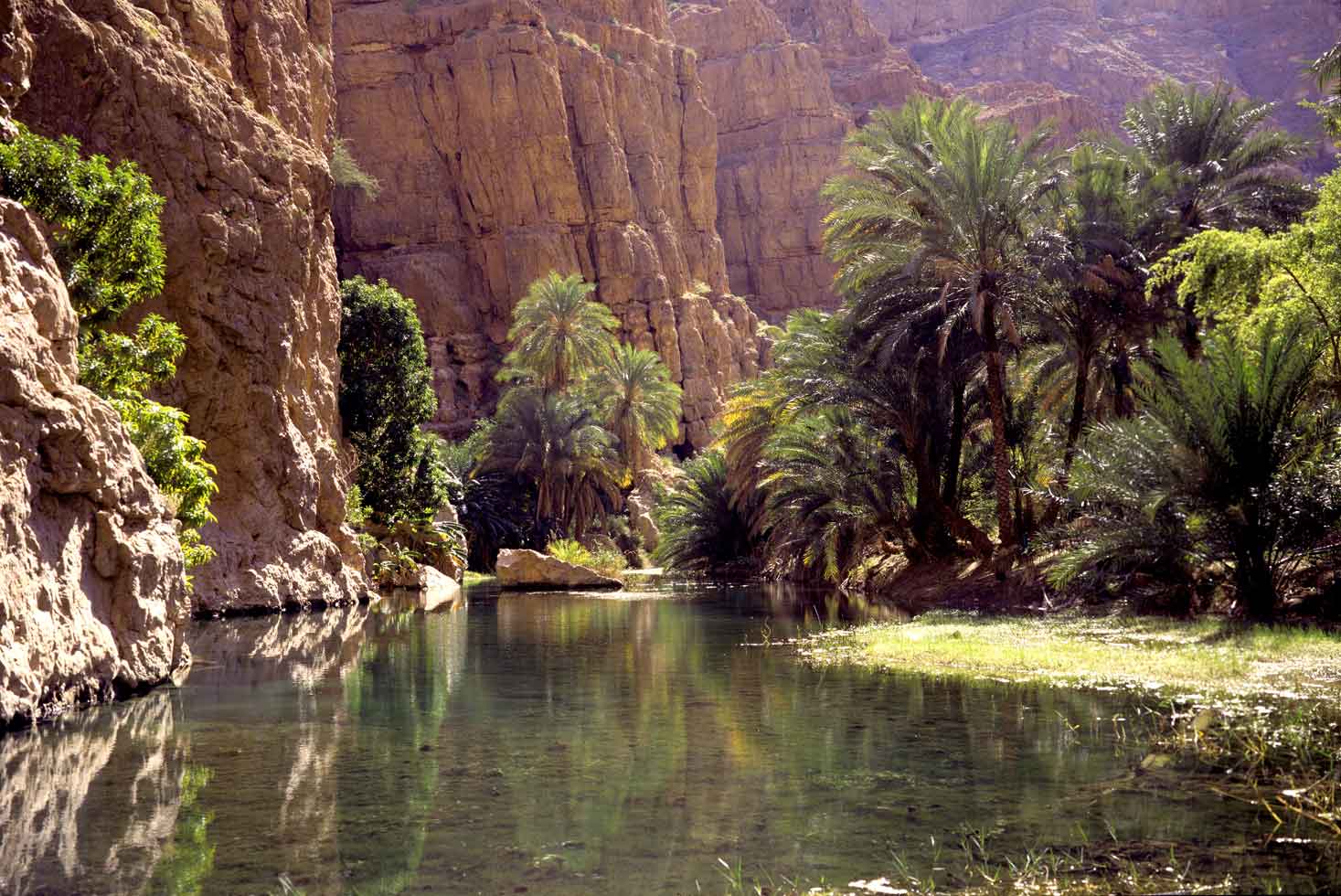 Arabic Proverbs (part 2) - ARABIC ONLINE